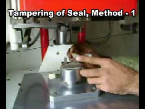 Seals Youtube