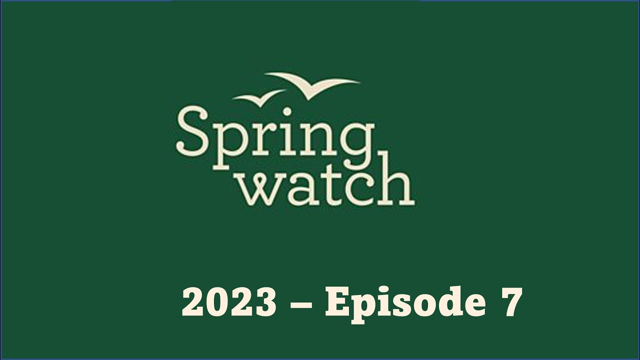 Springwatch 2023 Episode 7 Youtube