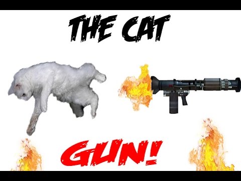 The Cat Gun Garry S Mod Youtube