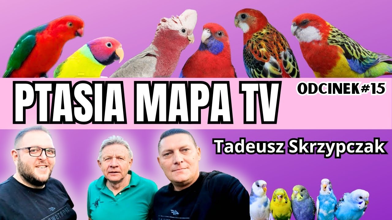 Ptasia Mapa Tv Odcinek 15 Tadeusz Skrzypczak Youtube