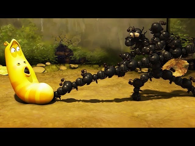 Larva Ant Attack Cartoon Movie Cartoons For Children Larva