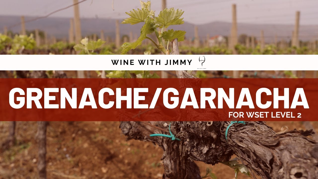 Grape Varieties Garnacha Grenache For Wset Level 2 Youtube