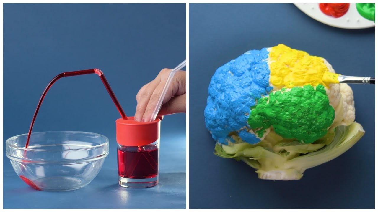 Inside Out 6 Cool Experiments To Teach Your Kids About The Human Body
