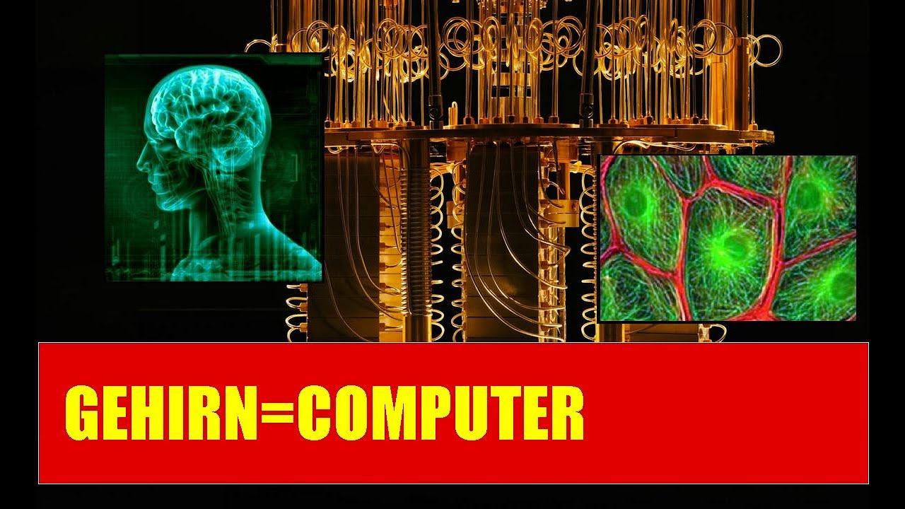 Ist Das Gehirn Ein Quantencomputer Youtube