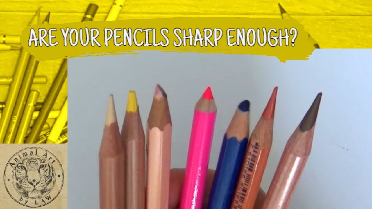 Colored Pencil Tip Are Your Pencils Sharp Enough How Sharp Is Sharp