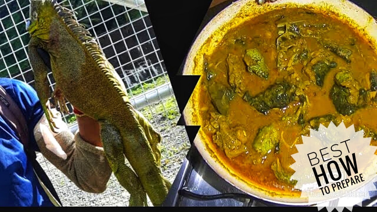 Best Recipe Curry Iguana How To Cook Chicken Of The Tree Part 3 Ep