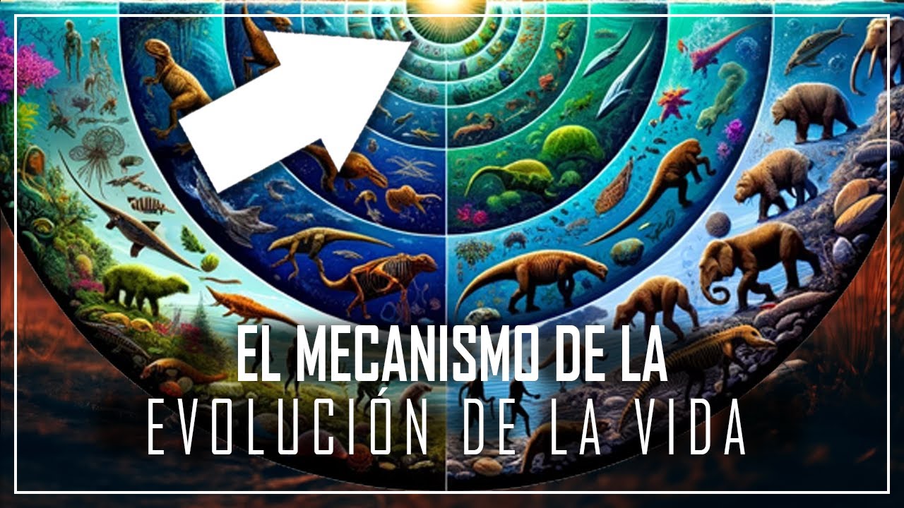 La Increíble Historia Del Mecanismo Del Origen De La Evolución De La