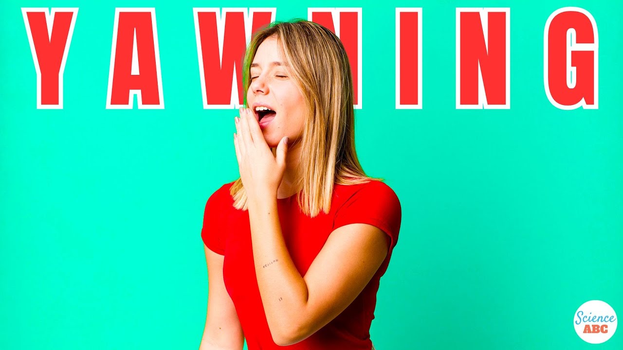 Why Do I Cry After Yawning At Nancy Grondin Blog