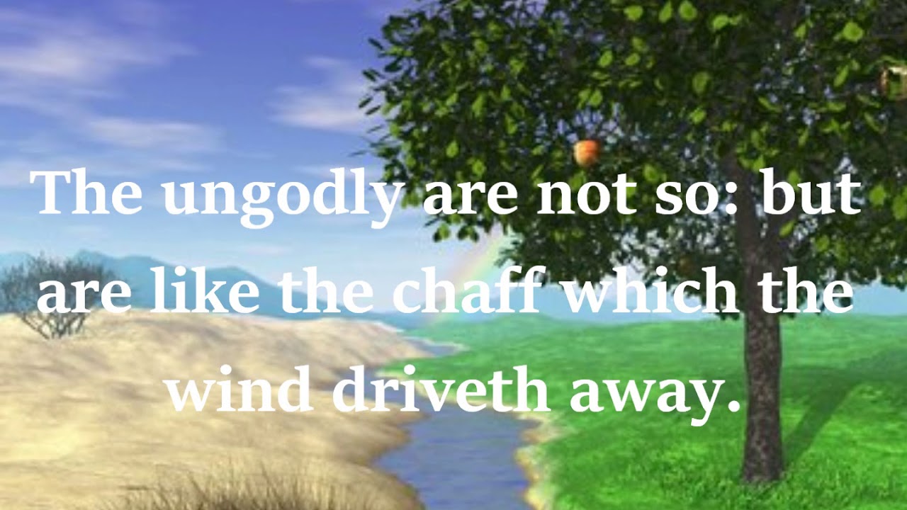 Psalm 1 The Righteous And The Wicked Audio Scriptures Text