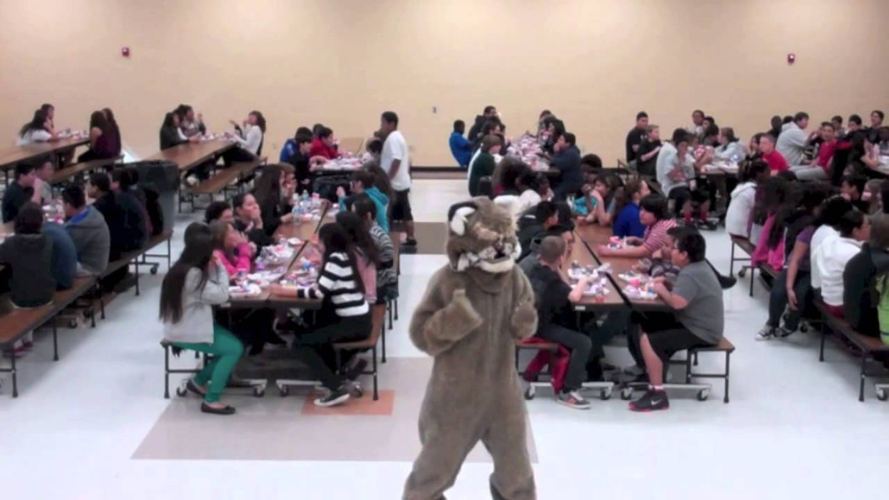 Harlem Shake Sunset Vista Elementary Youtube