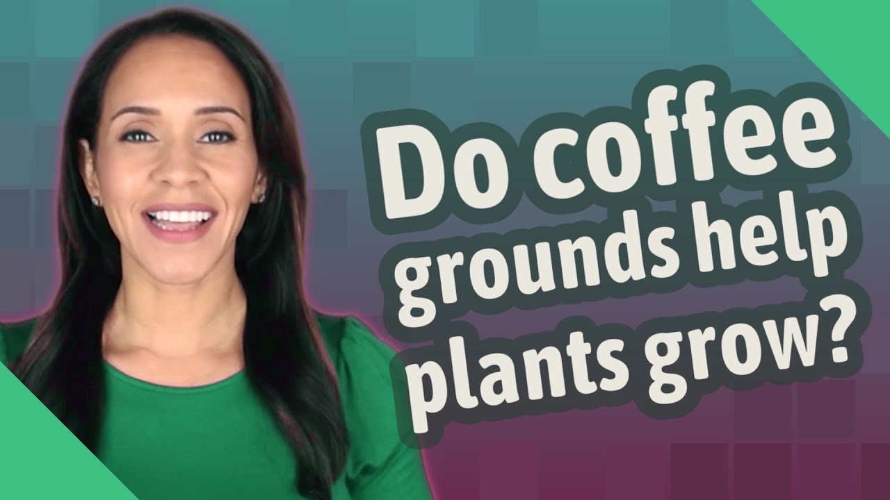 How Do Coffee Grounds Help Plants At Kerry Palacios Blog