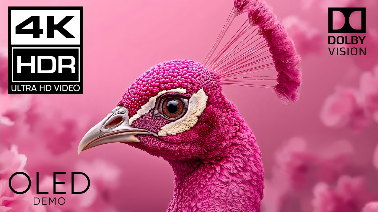 Stunning 4k Videos Dolby Vision Hdr 4k 60fps Videos Epic Relaxing