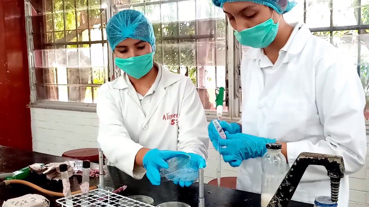 Metodo De Siembra Por Vaciado En Placa Y Extensión Superficial Youtube