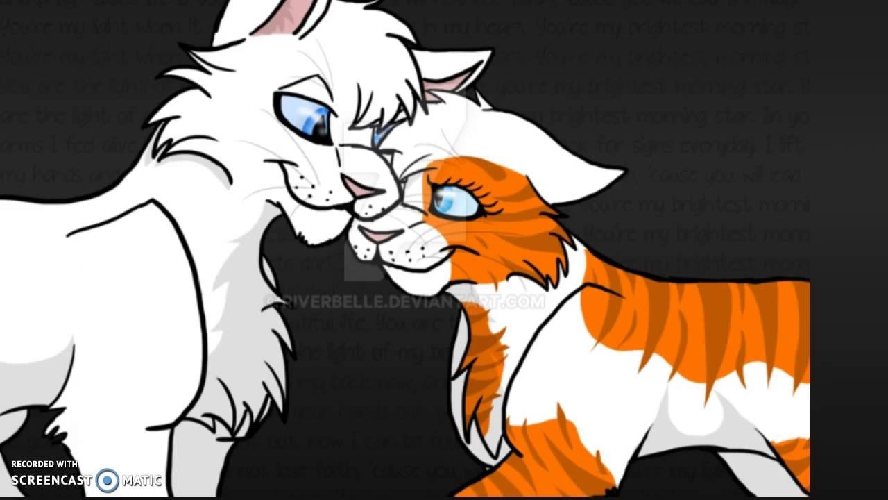 Lostface Brightheart X Cloudtail Youtube