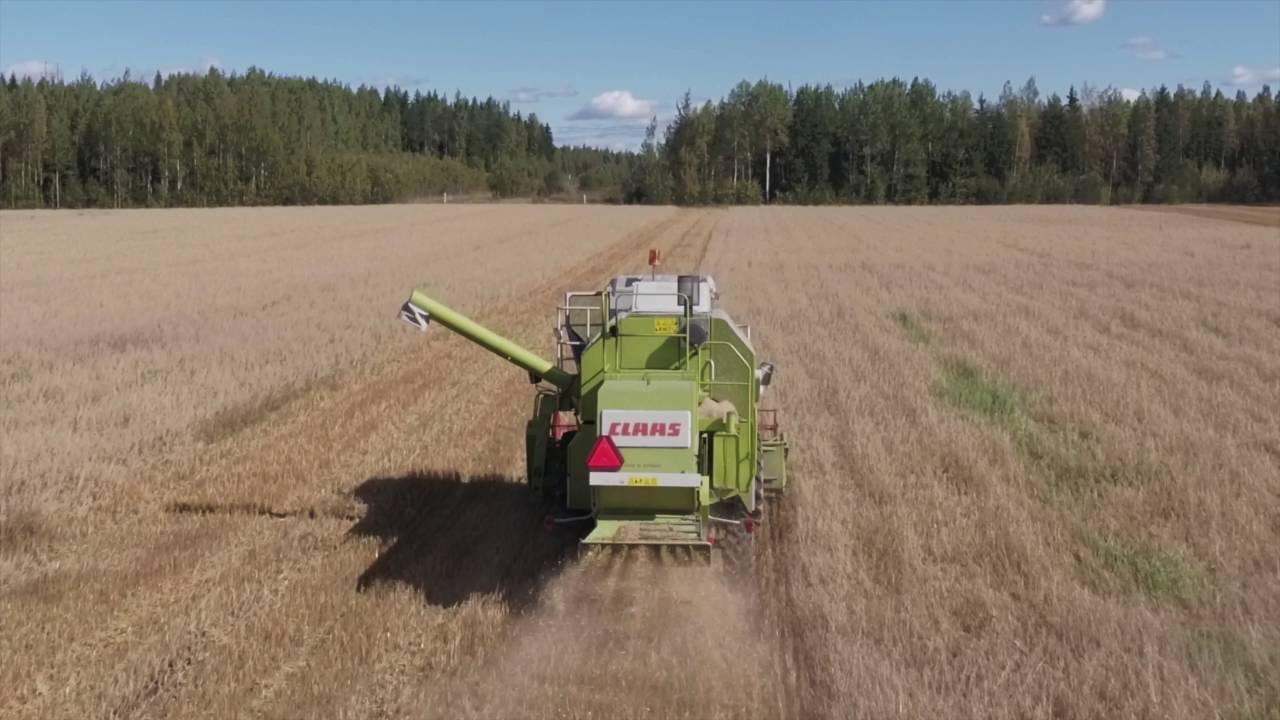 Kauran Puintia Youtube