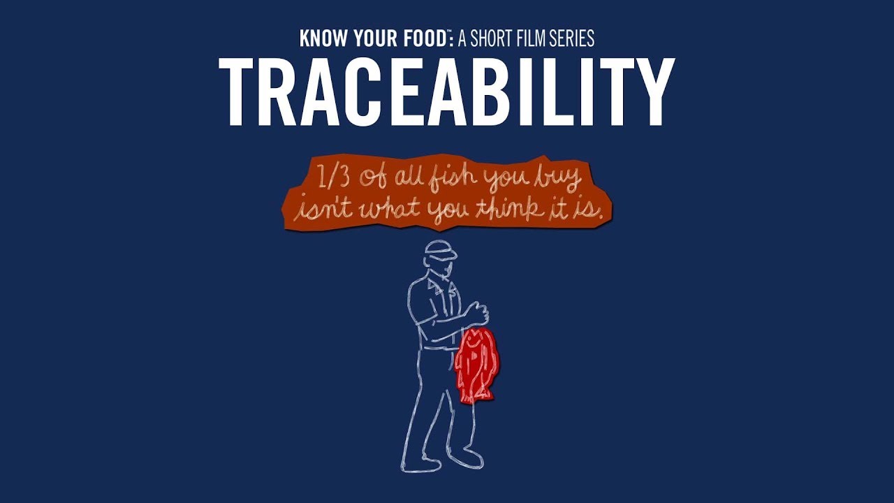 Traceability Youtube