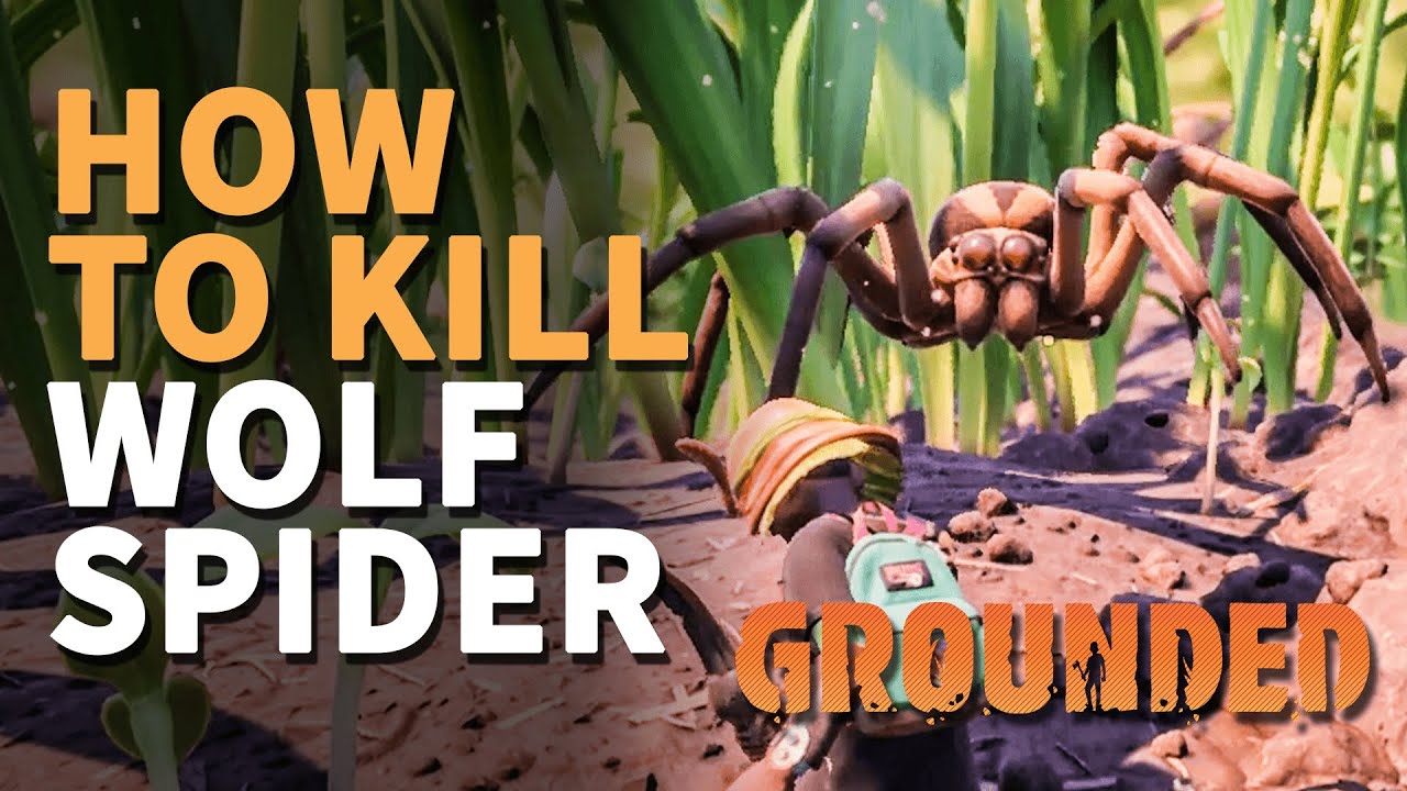 How To Kill Wolf Spider Grounded Wolf Spider Location Youtube
