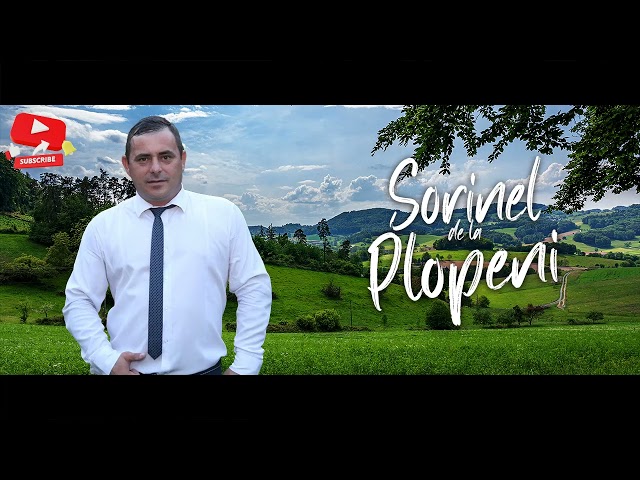 Muzica de petrecere 2024 SÂRBE la nunta 2024 colaj Colaj Petrecere ...