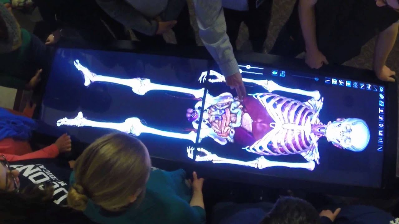 Human Anatomy Class Goes Virtual Youtube