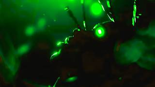 Travis Scott Type Beat Mp3 Music & Mp4 video downloads