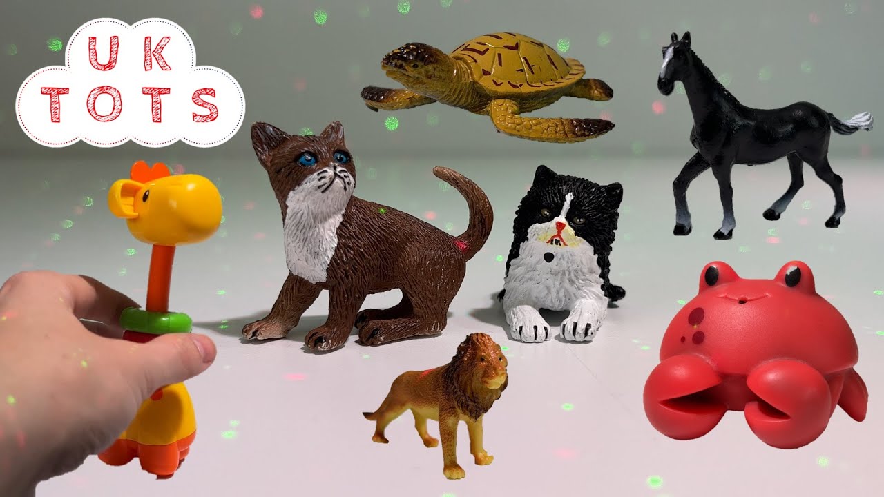 Learning About Animals Youtube
