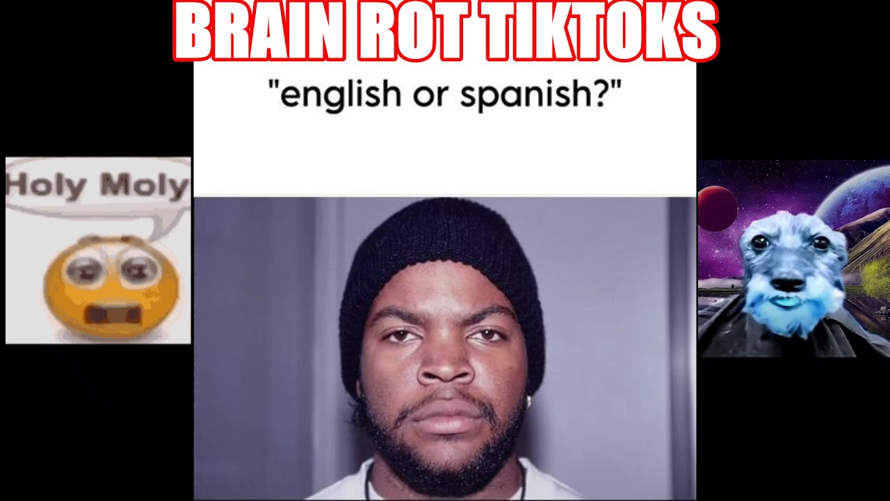 Tiktok Reacts Brainrot Youtube