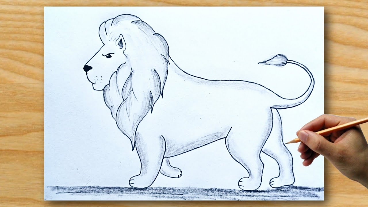 Easy Lion Drawing Lion Drawing How To Draw A Lion Step By Step