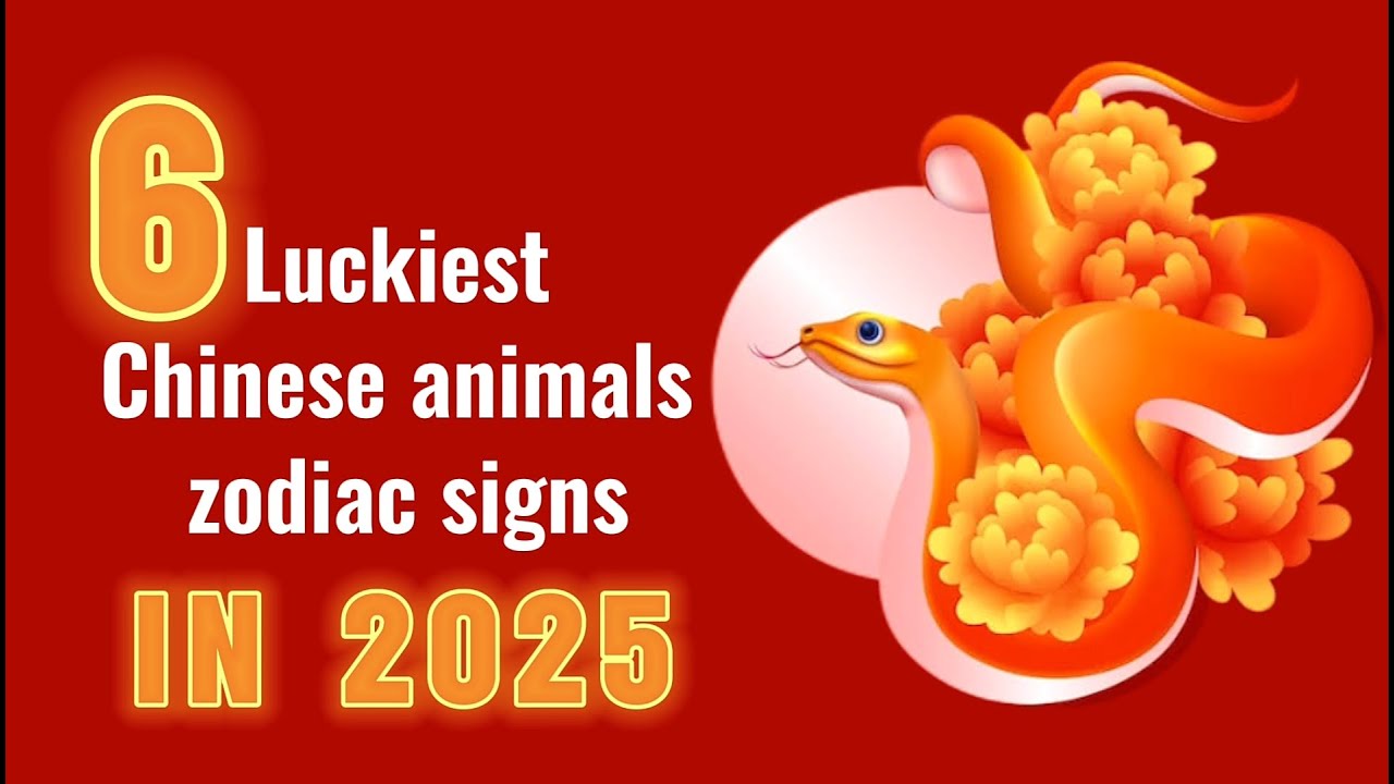 Which Chinese Zodiac Is The Luckiest 60 Photos Youhoroscope