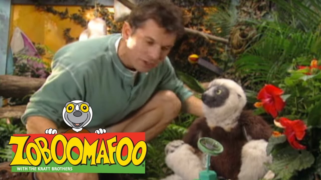 Zoboomafoo With The Kratt Brothers Green Creatures Full Episodes