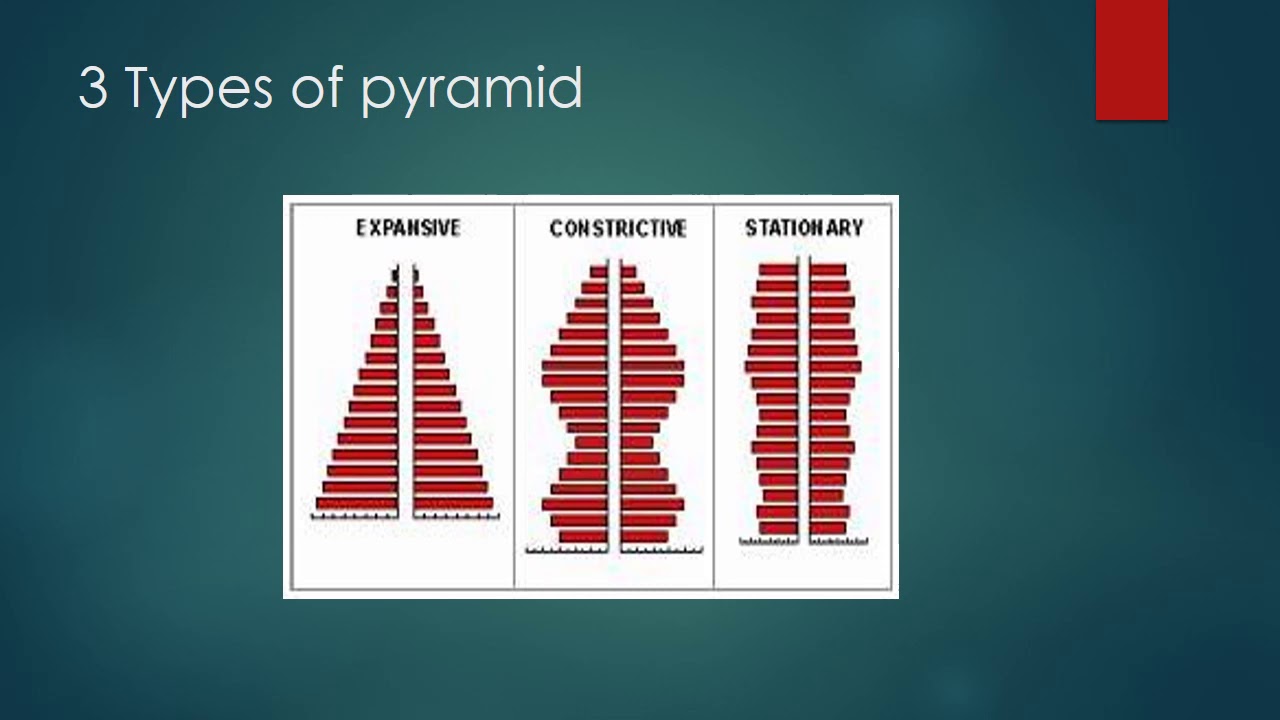 Geography L Population Population Pyramid It S 3 Types And Population