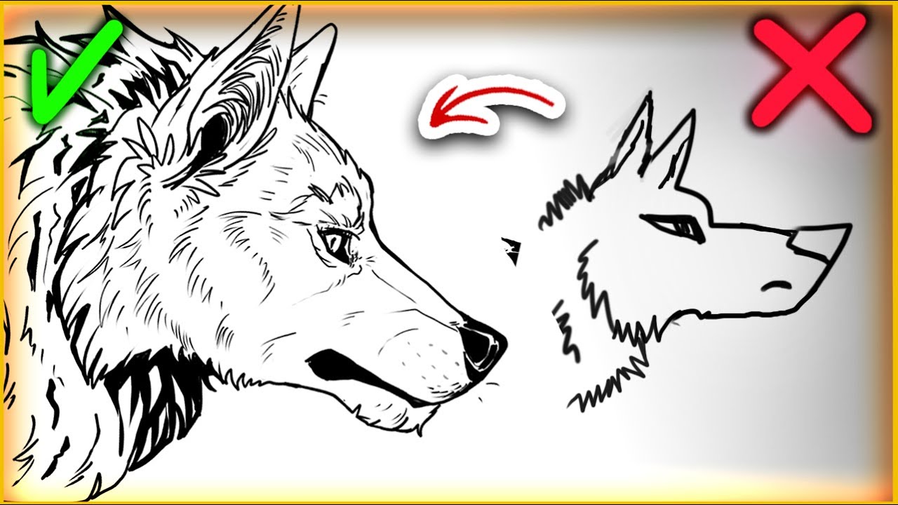 How To Draw A Wolf Head Side View I Don T Have Issue With Side And