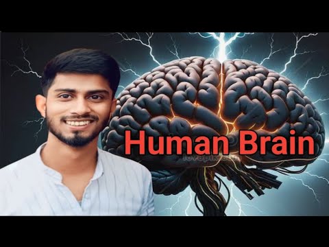 Human Brain Youtube