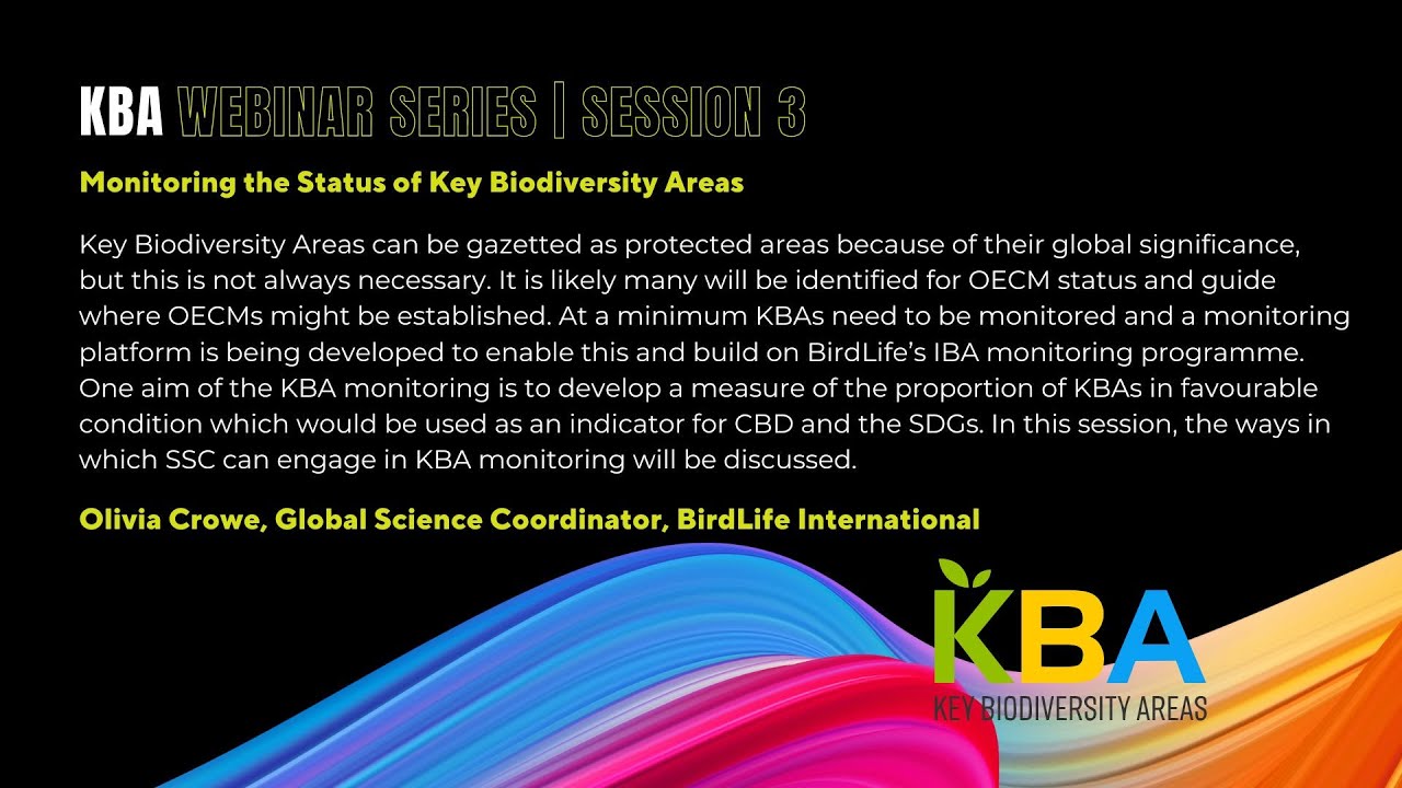 Kba Session 3 Youtube