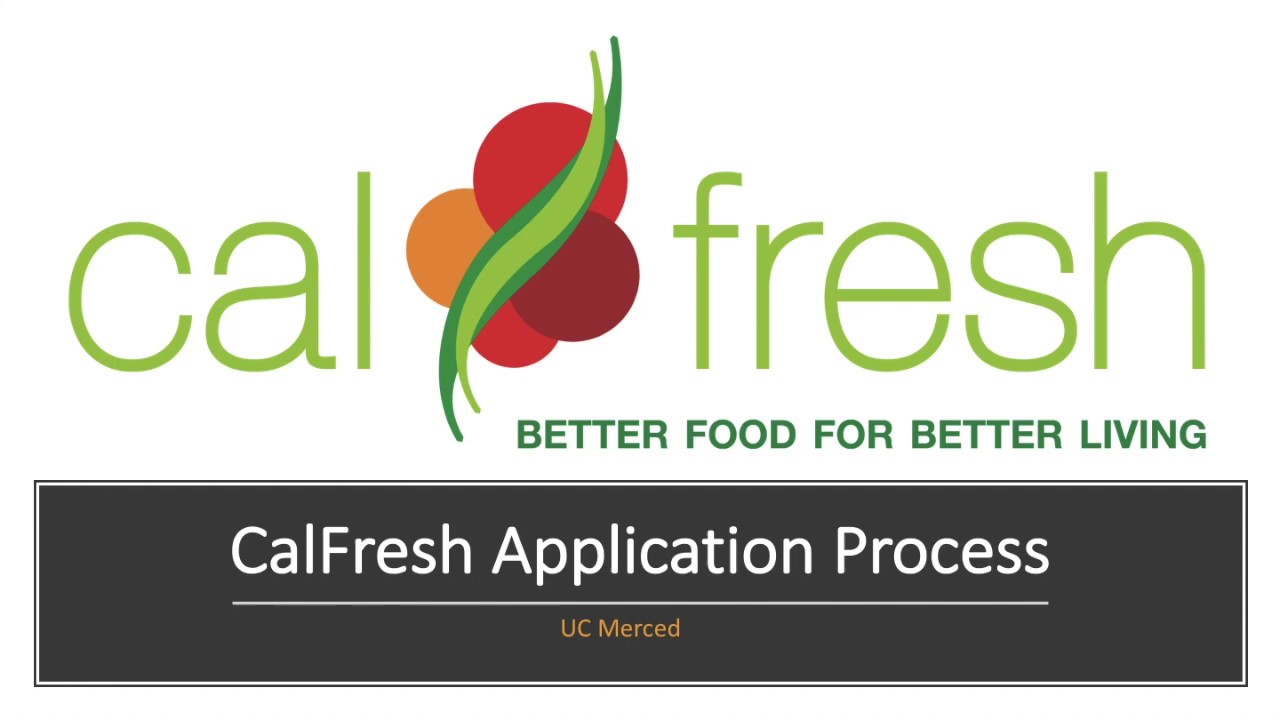 Ucm Calfresh Application Process Youtube