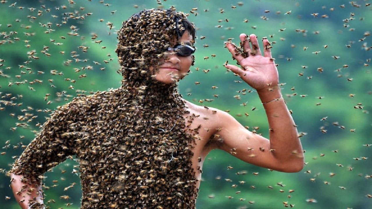 Amazing Bee Bearding In Thailand 10 000 Bees Beard In Thai Amazing