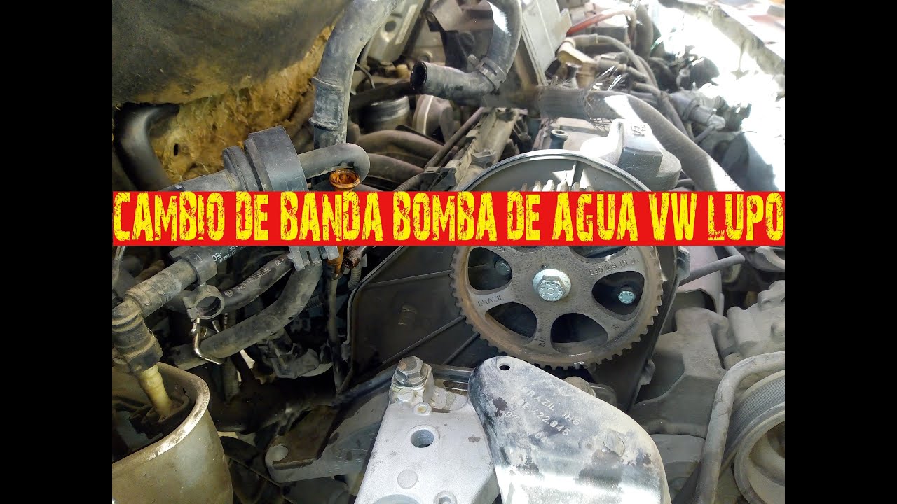 Cambio De Banda Distribución Motor 1 6 Vw Lupo Polo Gol Ibiza Cordoba