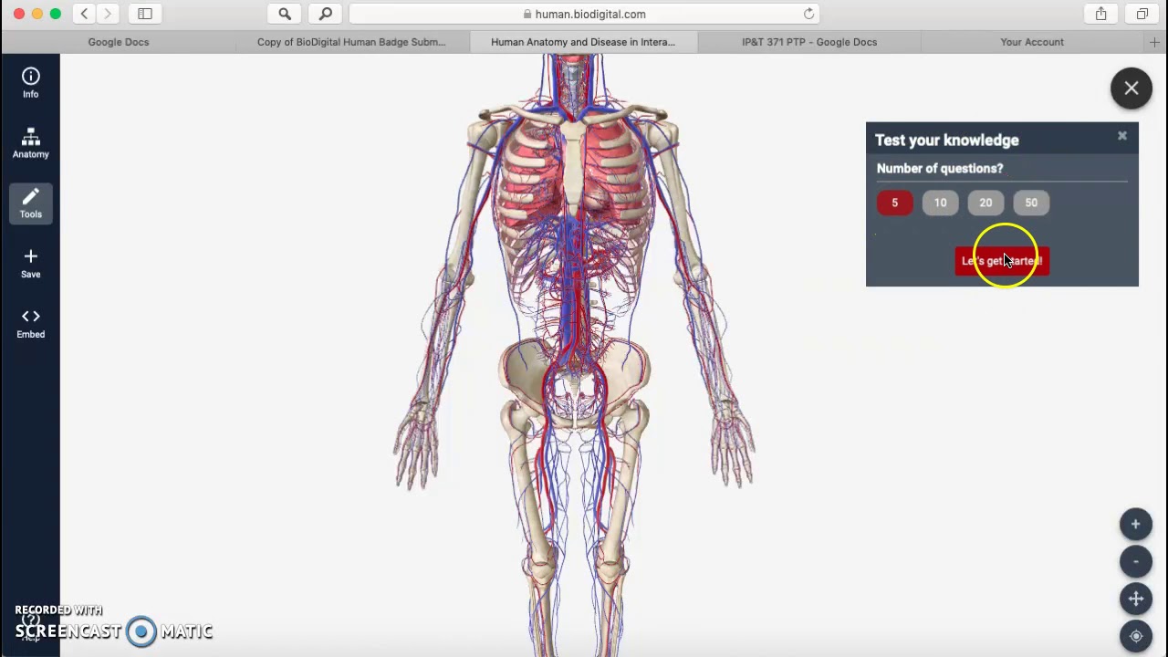 Biodigital Tutorial Youtube