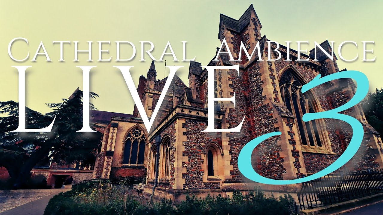 Cathedral Ambience Live 3 1 Hour Of Calming Pipe Organ Music For