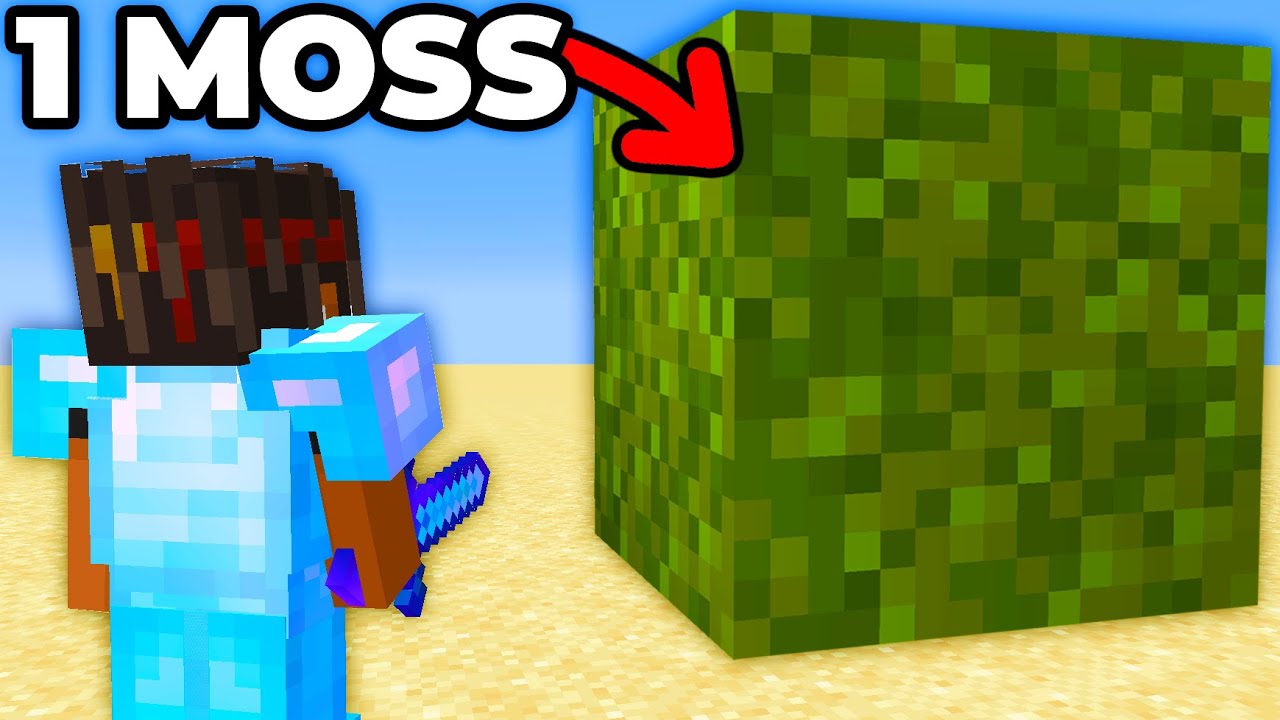 1 Moss Block Vs Minecraft Smp Youtube