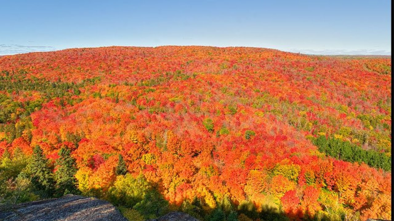 Lutsen Mountain Fall Colors 2021 Minnesota Fall Colors Youtube