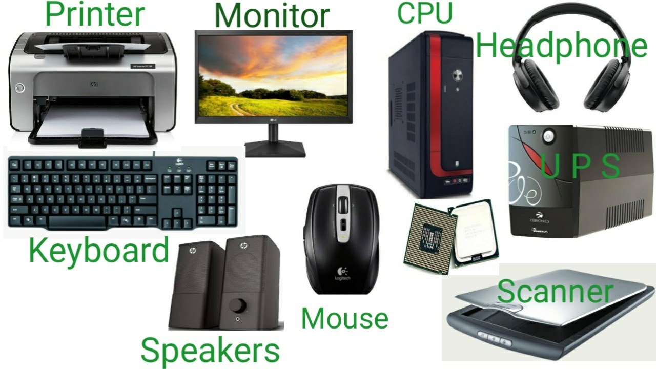 Parts Of Computer Class 1 Chapter 4 English Riset