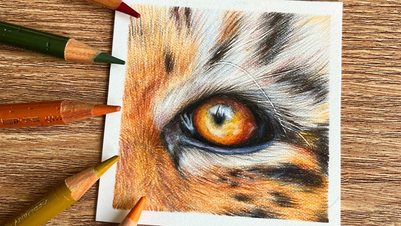 How To Draw A Realistic Tiger Eye Step By Step