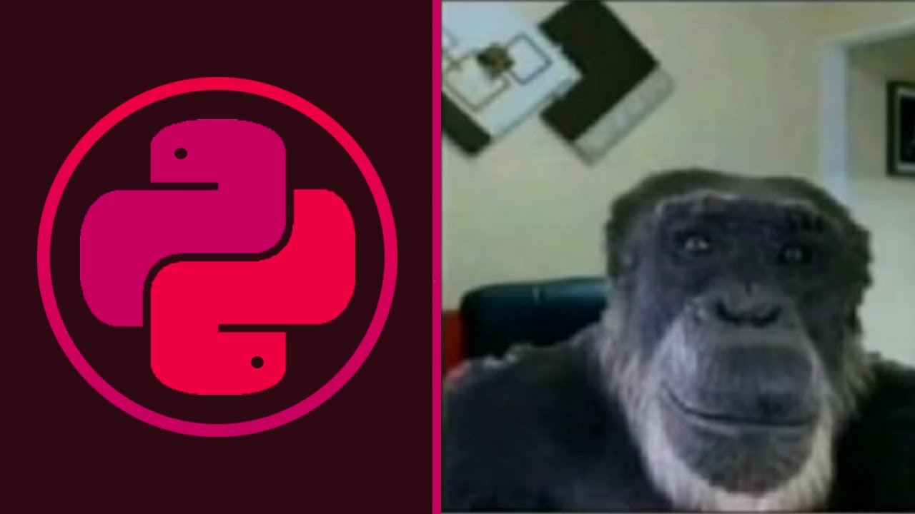 Monkey Patching обезьянки Python 3 питон 3 Youtube