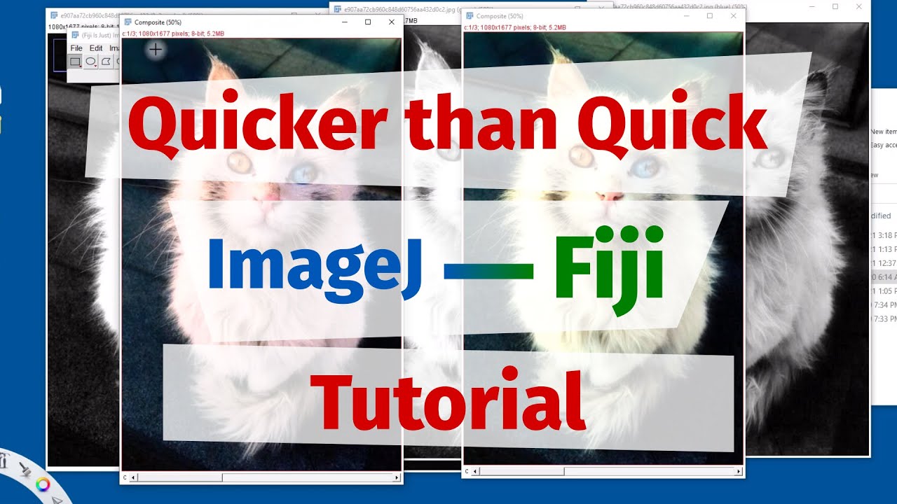 Imagej Fiji Quick Tutorial Youtube