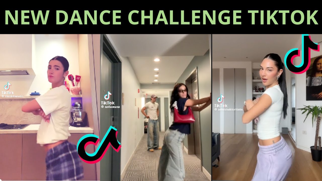 New Dance Challenge Tiktok Embrace It Tiktok Dance Challenge