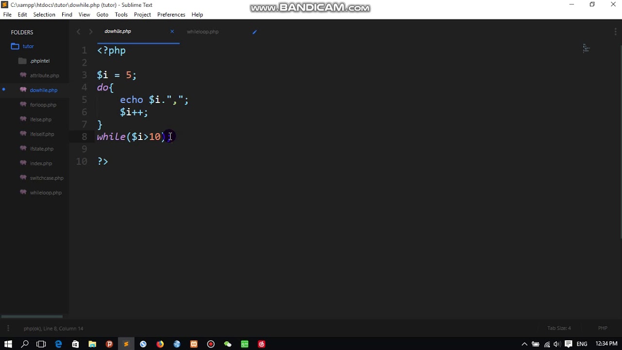 3 While Loop Statements Youtube