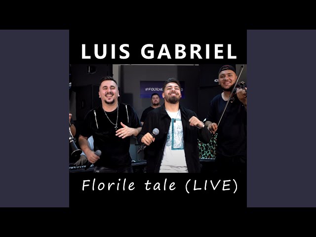 Luis Gabriel - Am obosit sa iubesc pentru doi - Nu te mai las sa ma ...