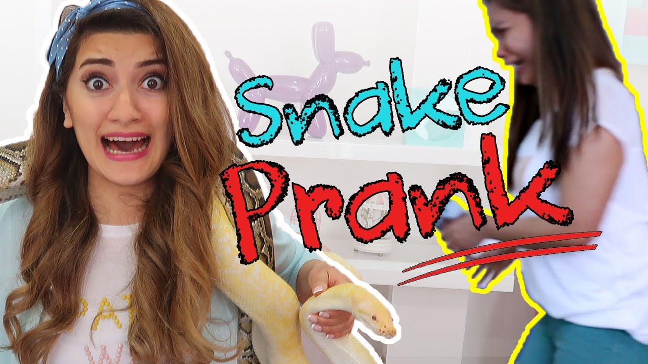 Crazy Snake Prank Youtube