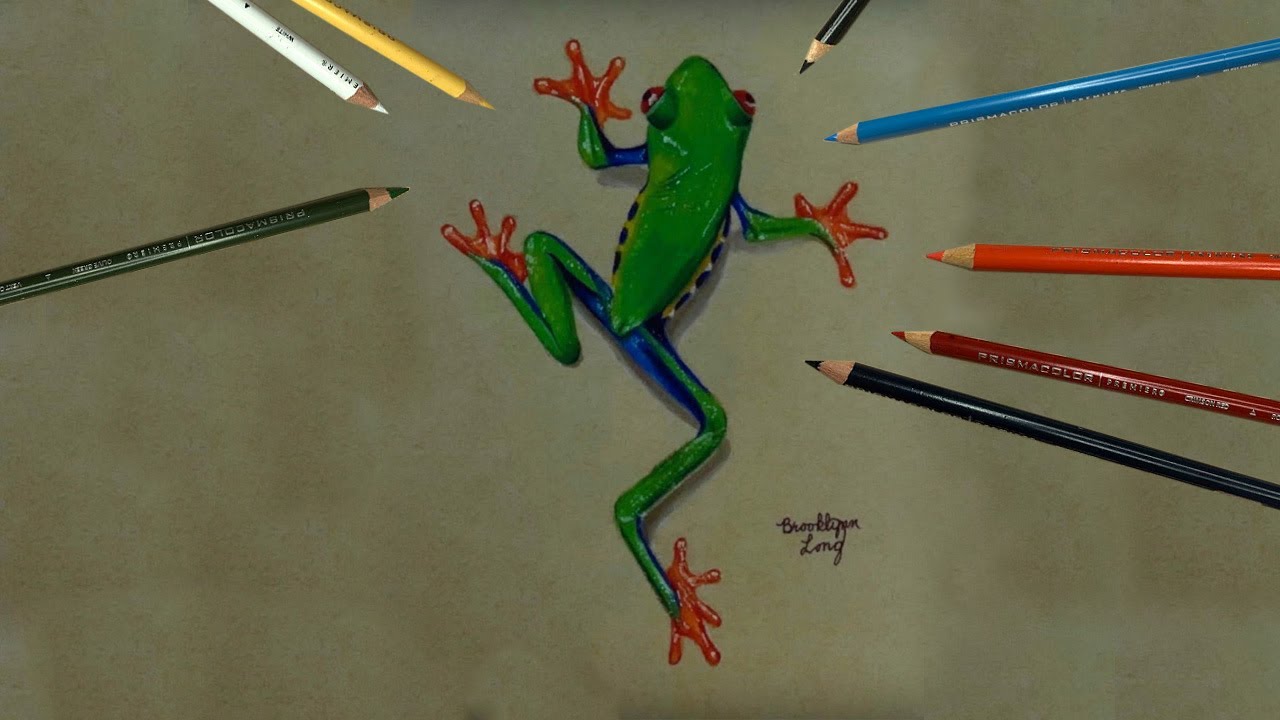 Drawing A Tree Frog Time Lapse Youtube