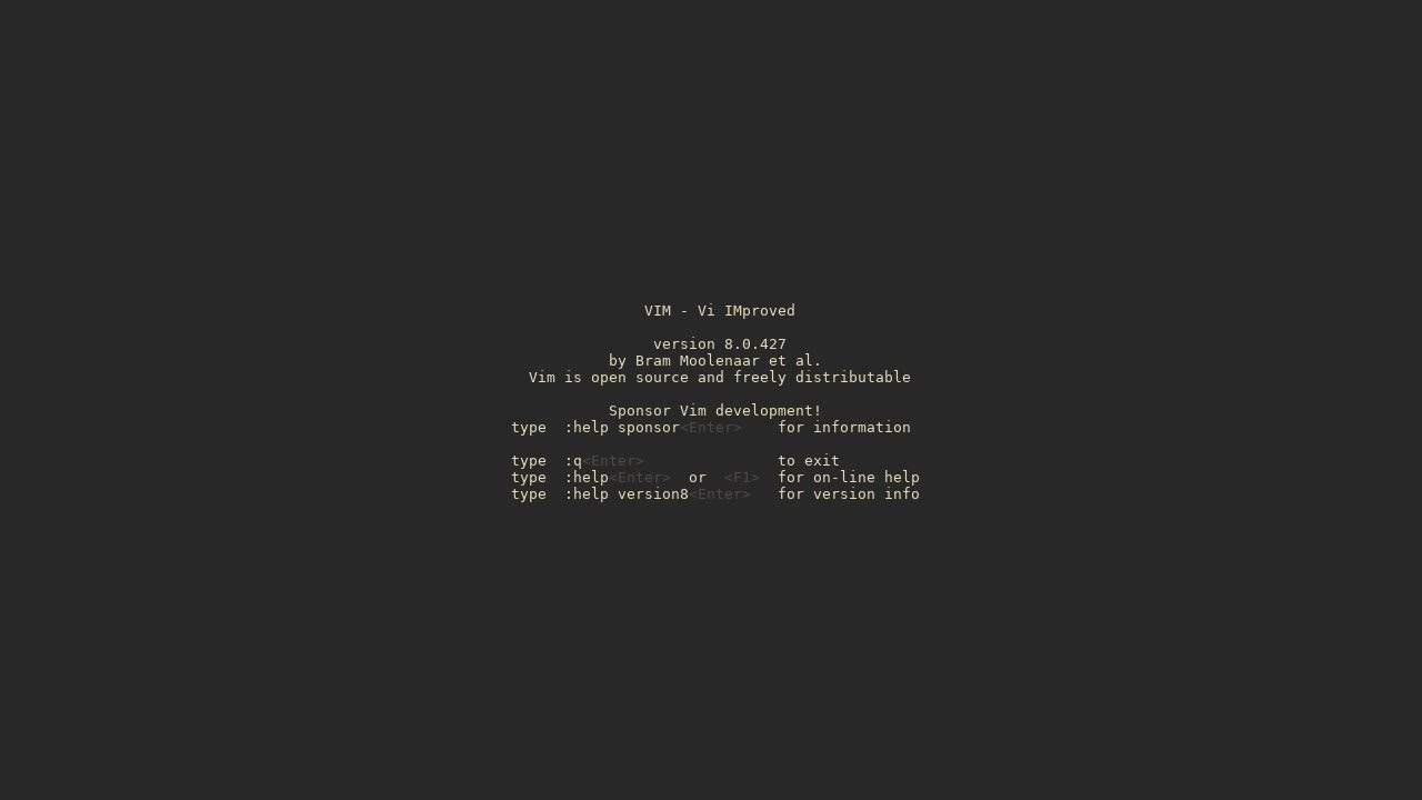 The Perfect Vim Configuration Youtube